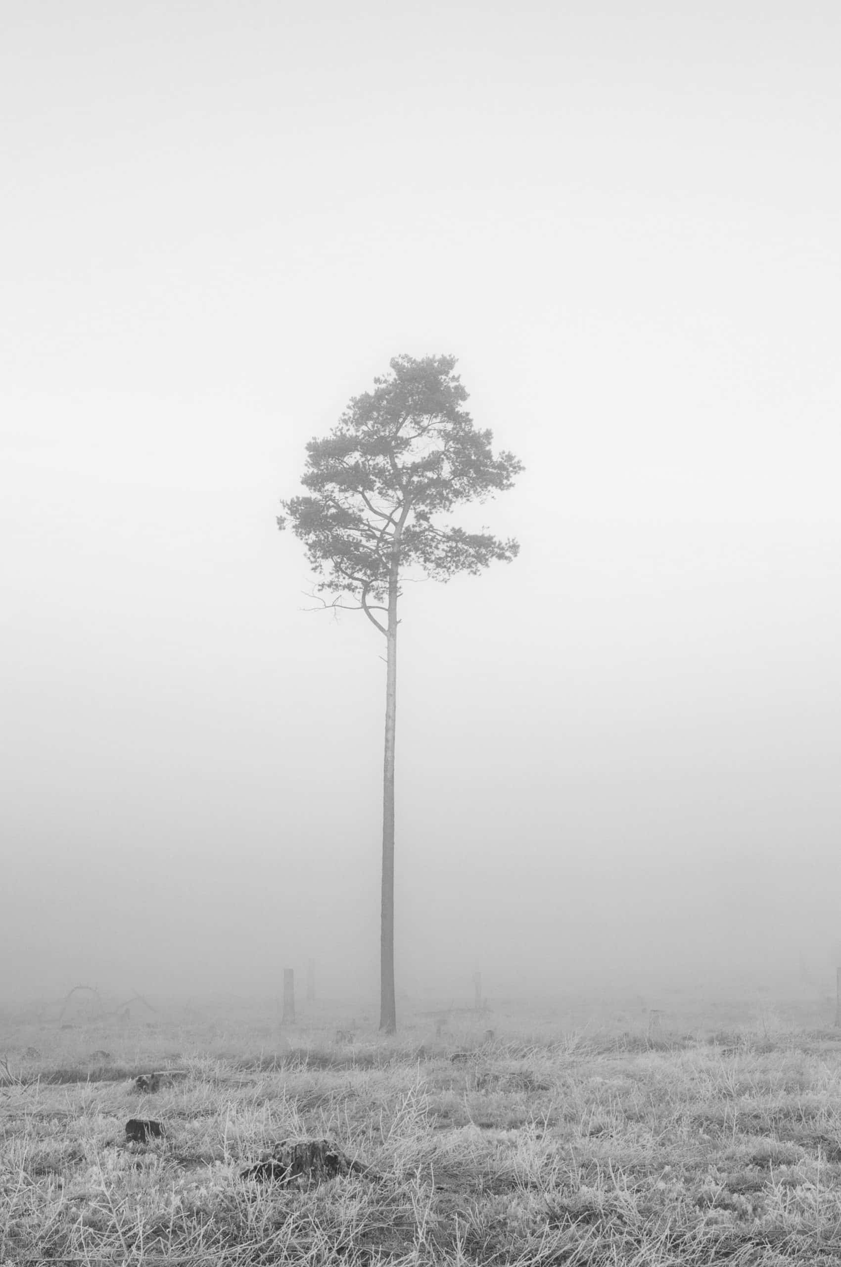 Minimalisme fotografie: Zo werk het! - Fotografie Community
