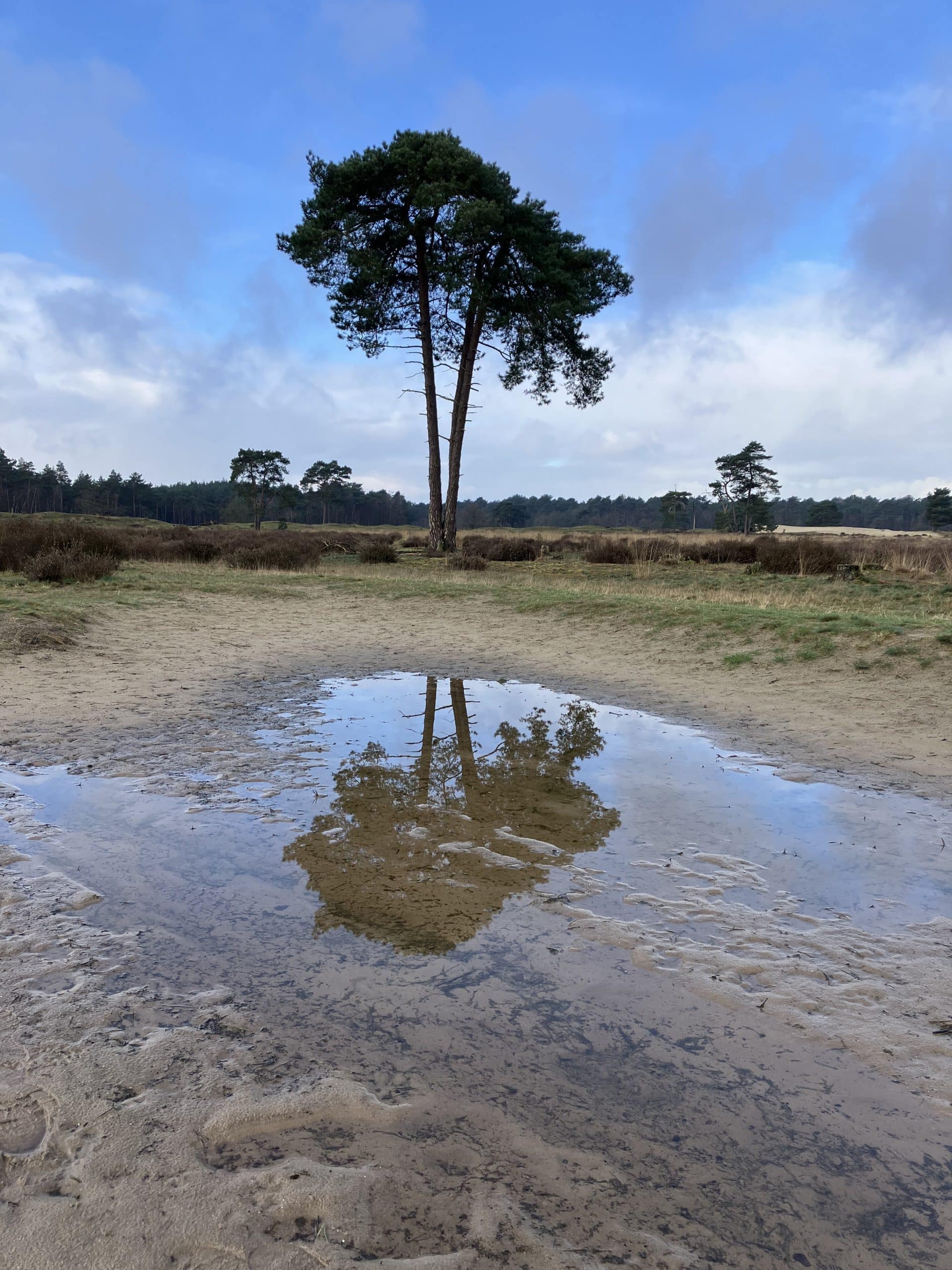 Landschapsfotografie in Nederland: dit zijn de mooiste locaties ...